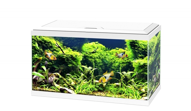 Ciano Aqua 60 LED CF150 | 58L | 60 x 30 x 33CM Wit Aquarium - Junai.nl