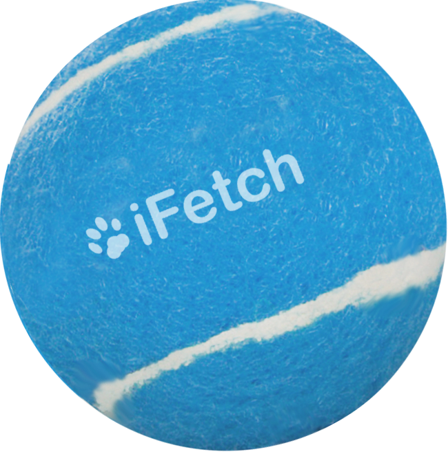 iFetch Too Balls - Junai.nl