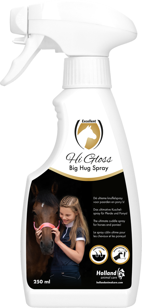 Excellent Hi Gloss Big Hug spray - Junai.nl