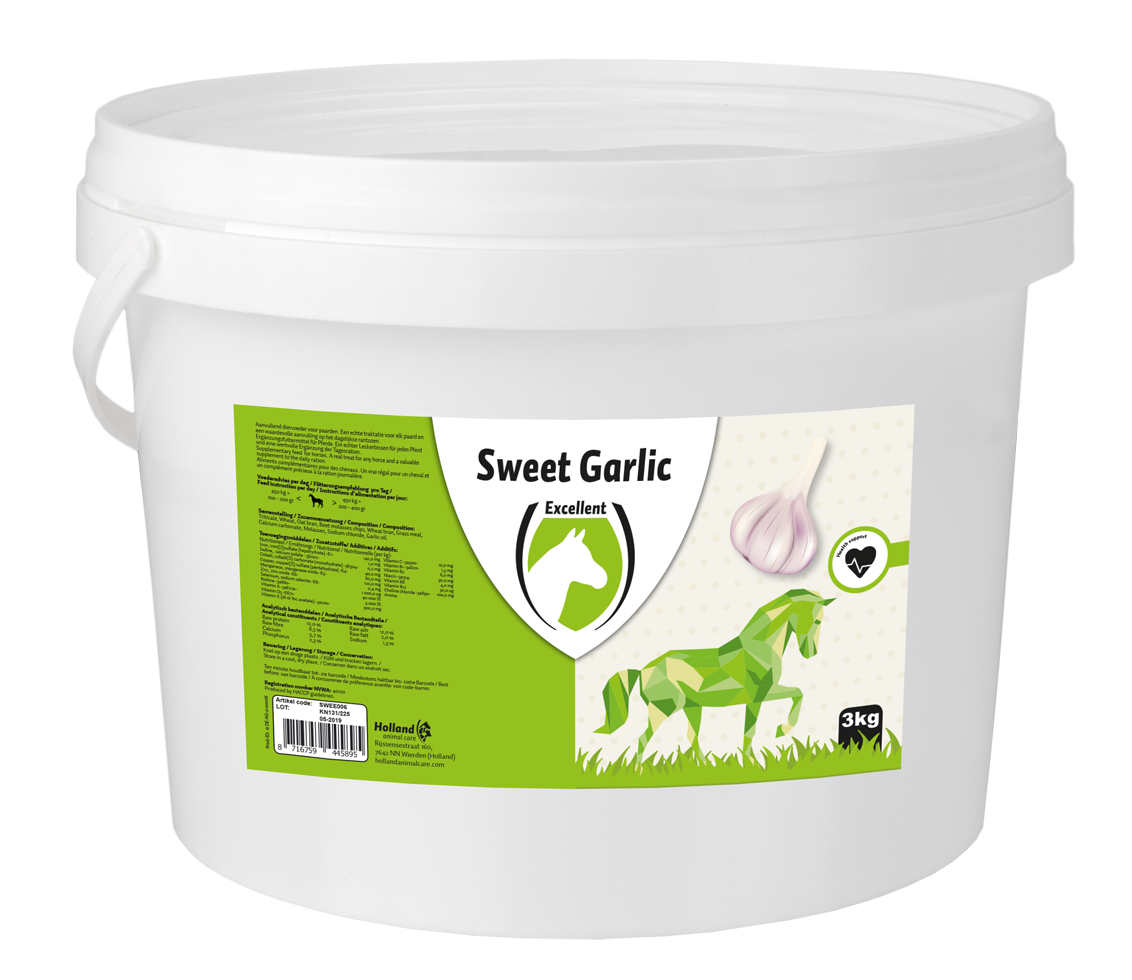 Excellent Sweet Garlic Blocks - Junai.nl