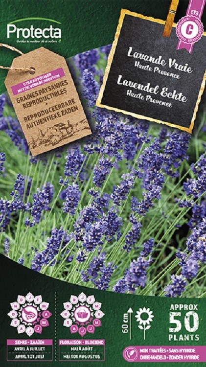 Protecta Kruiden/bloemen zaden: Lavendel Echte | Lavandula - Junai.nl