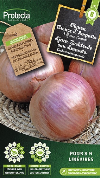 Groente zaden: Ajuin Zachtrode van Amposta | Rode ui - Junai.nl
