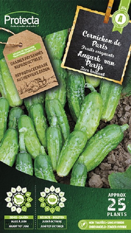 Groente zaden: Augurk Kleine groene van Parijs - Junai.nl