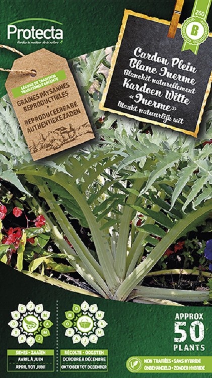Groente zaden: Kardoen Witte "Inerme" - Junai.nl
