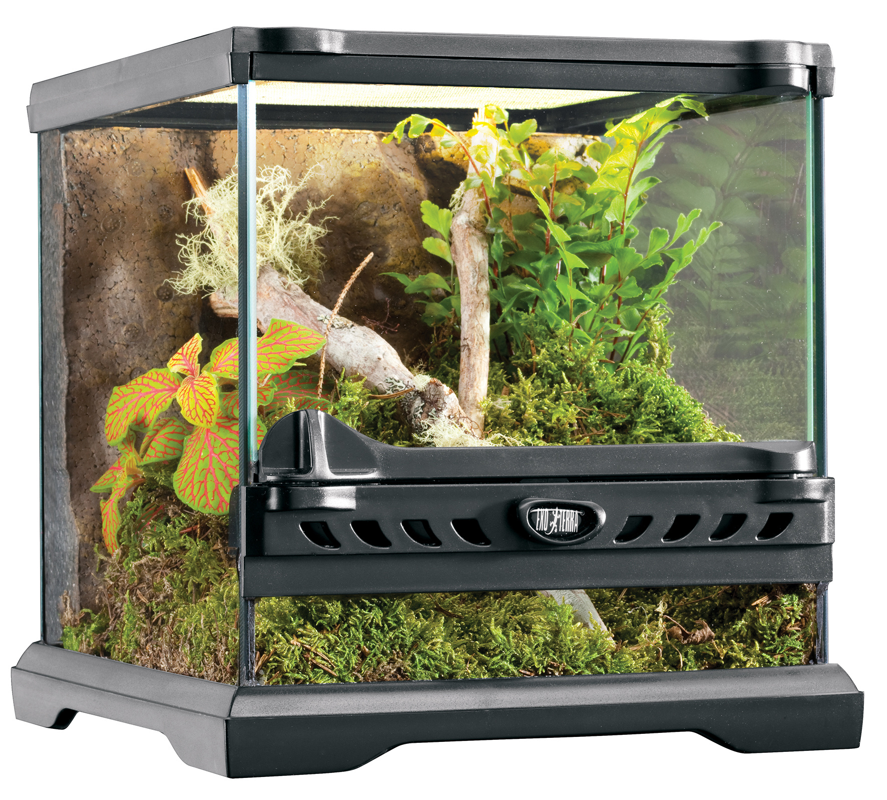 Exo Terra Glas Terrarium | 20 x 20 x 20CM - Junai.nl