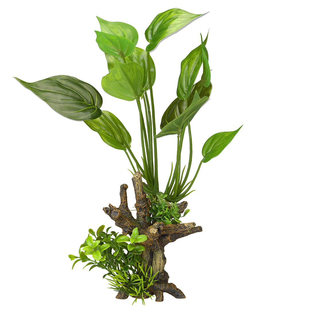 Aqua D'ella Florascape 7 S - Junai.nl