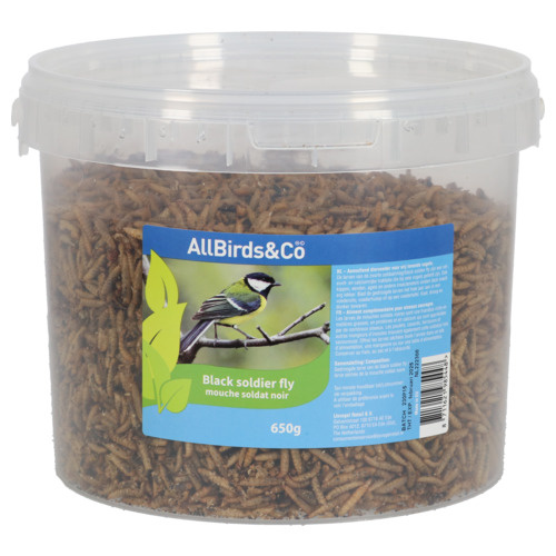 Black soldier fly in emmer 650g - Junai.nl