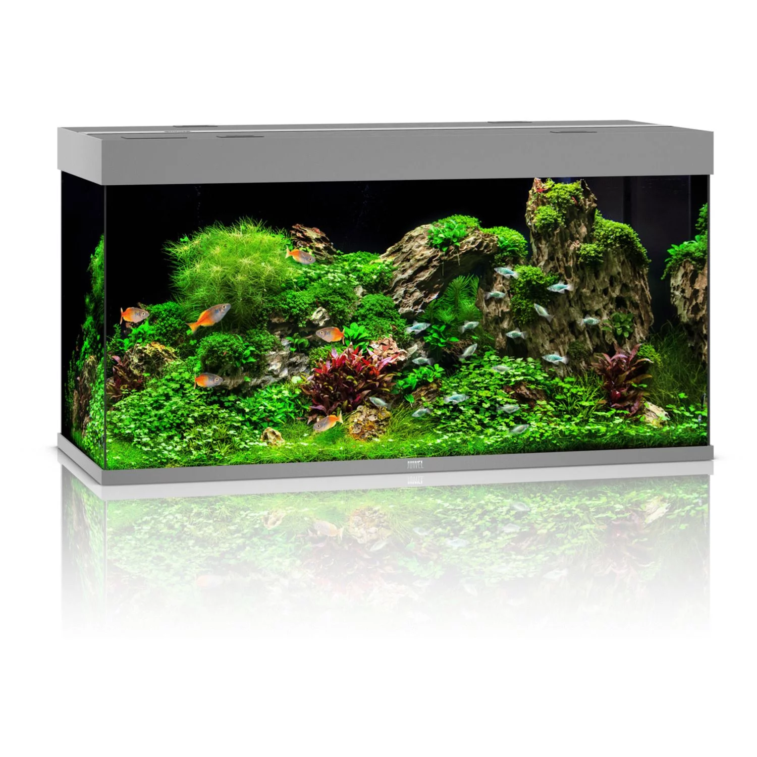 Juwel Rio 350 LED | 350L | 121 x 51 x 66CM Grijs - Junai.nl