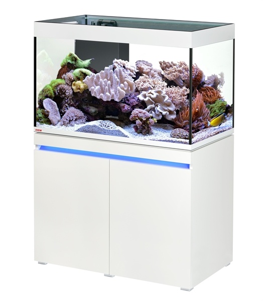 Schne Eheim Incpiria 330 Bild