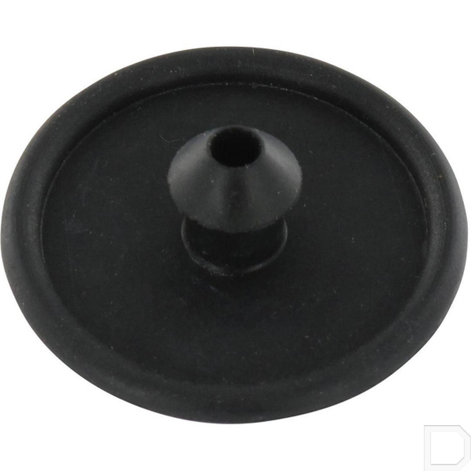 Gloria Membraam - Junai.nl