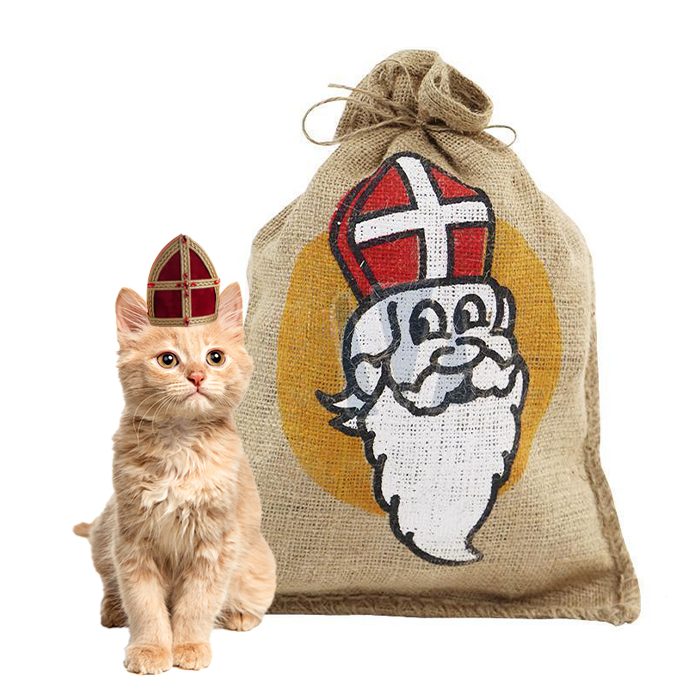 Sinterklaas verrassingszak voor katten | Sinterklaaskado - Junai.nl