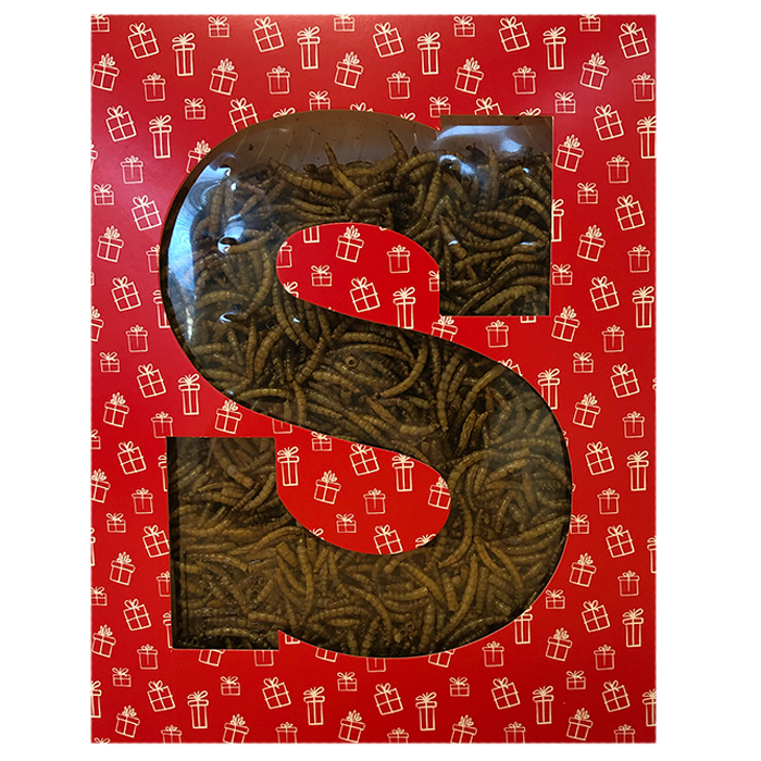 Sint Letterdoosje Meelwormen voor Kippen | Sinterklaaskado - Junai.nl