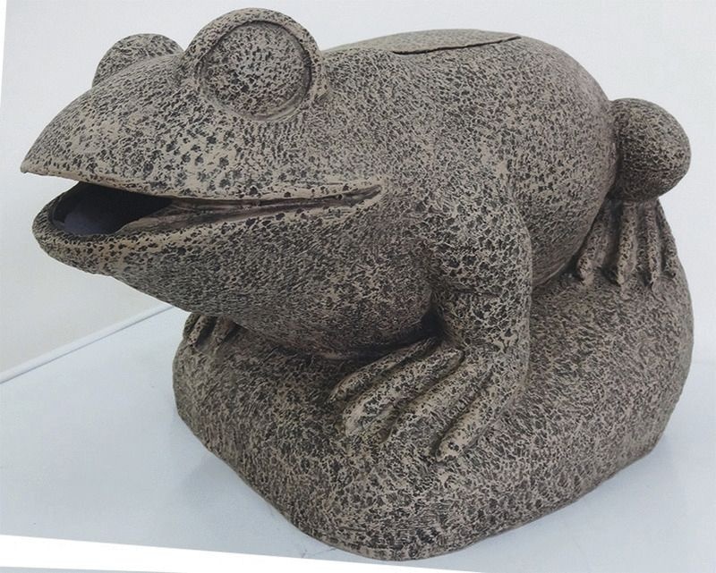 Superfish Frog Filter - Junai.nl