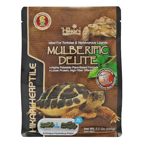Hikari Turtle Mulberific - Junai.nl