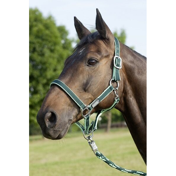 USG Halster Donkergroen/Lichtgroen - Junai.nl