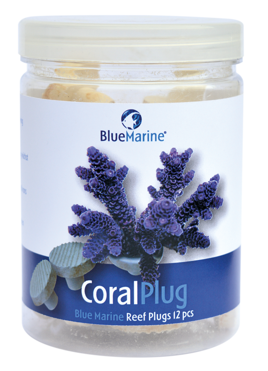 Blue Marine Coral Plug 24x - Junai.nl
