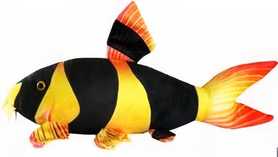 Clown Loach Plush - Junai.nl
