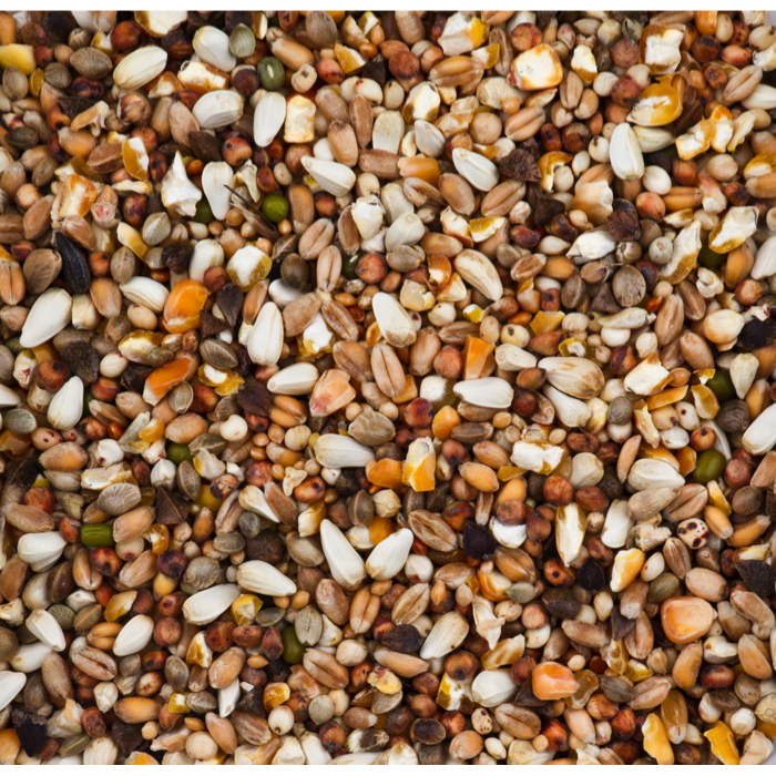 Deli Nature Premium tortelduiven 4KG - Junai.nl