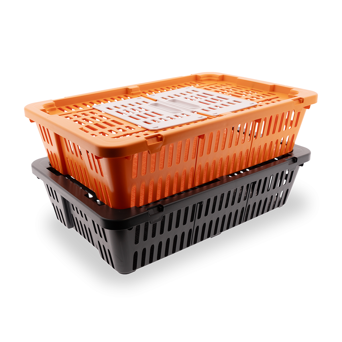 Transportkist voor kwartels/duiven - Junai.nl