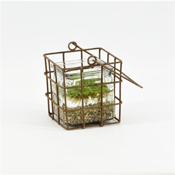 Roestmandje Met Vaasje Drijfplant Vierkant - Junai.nl