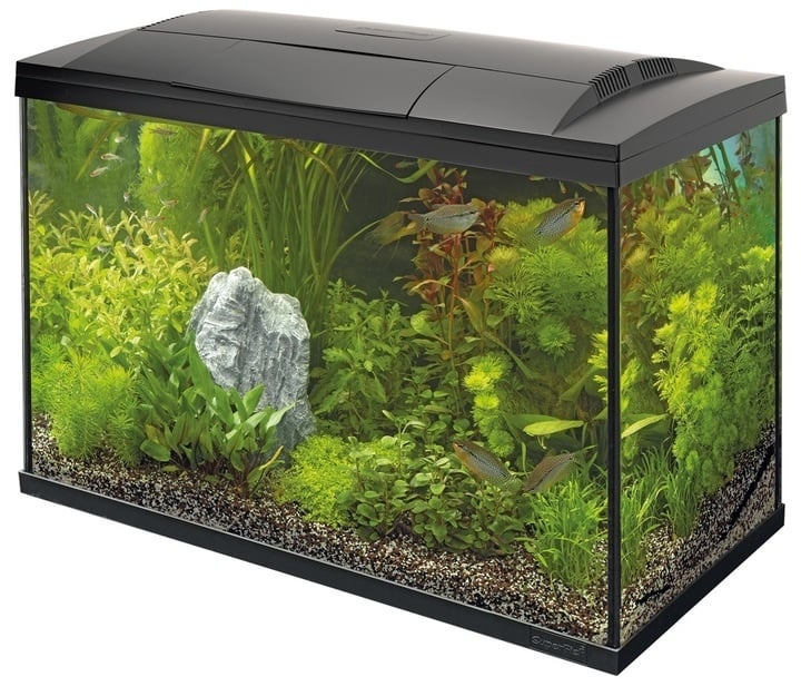 SuperFish Start 150 adapter 10V 3A | Max 30W vervanging - Junai.nl