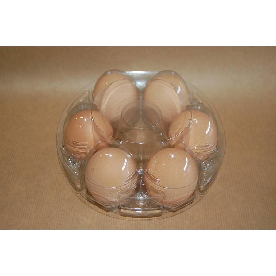 Eierdozen maat L 6 eieren STER kunststof - JUNAI