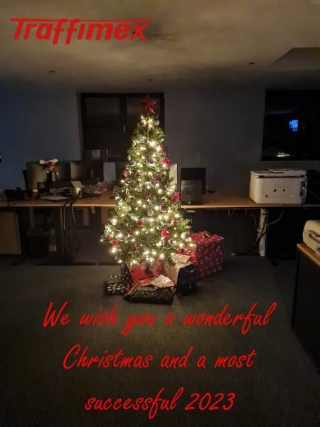 TRAFFIMEX SA - TRAFFIMEX SA