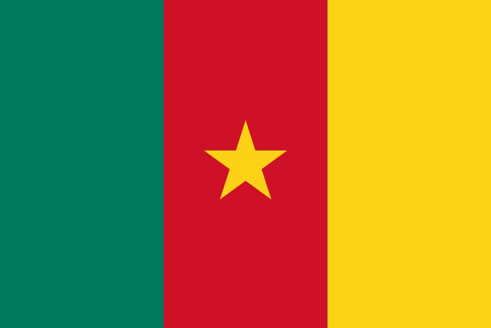 Flag of Cameroon image and meaning Cameroonian flag - country flags