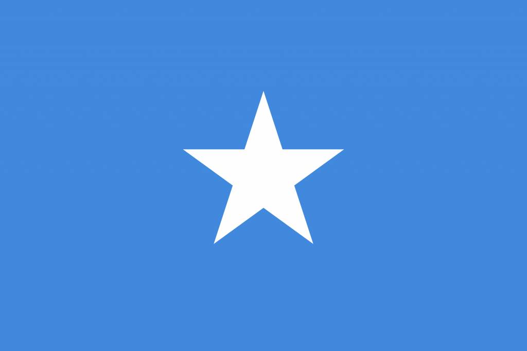 Flagge von Somalia Vektor - country flags