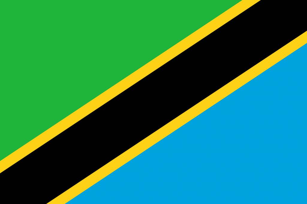 Tanzania flag vector - country flags