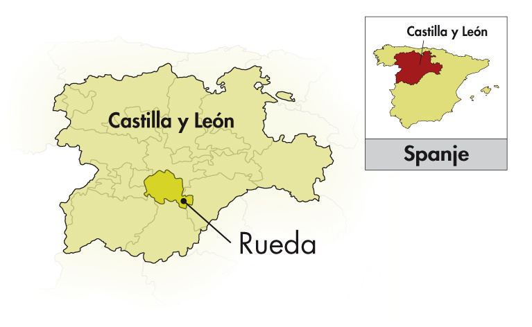 Castelo de Medina Rueda El Fisgón Verdejo 2022 | Het Wijnportaal
