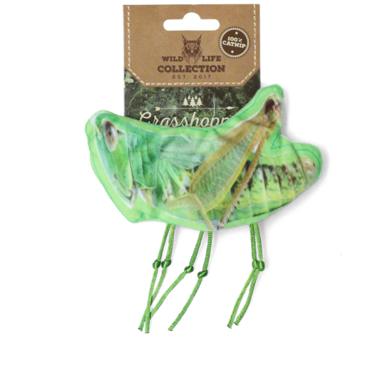 Wild Life Collection Grasshopper - Catcetera