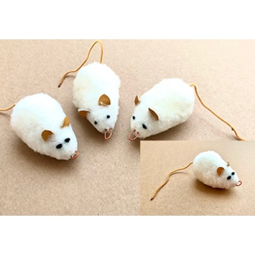 White Mo Mouse - Catcetera