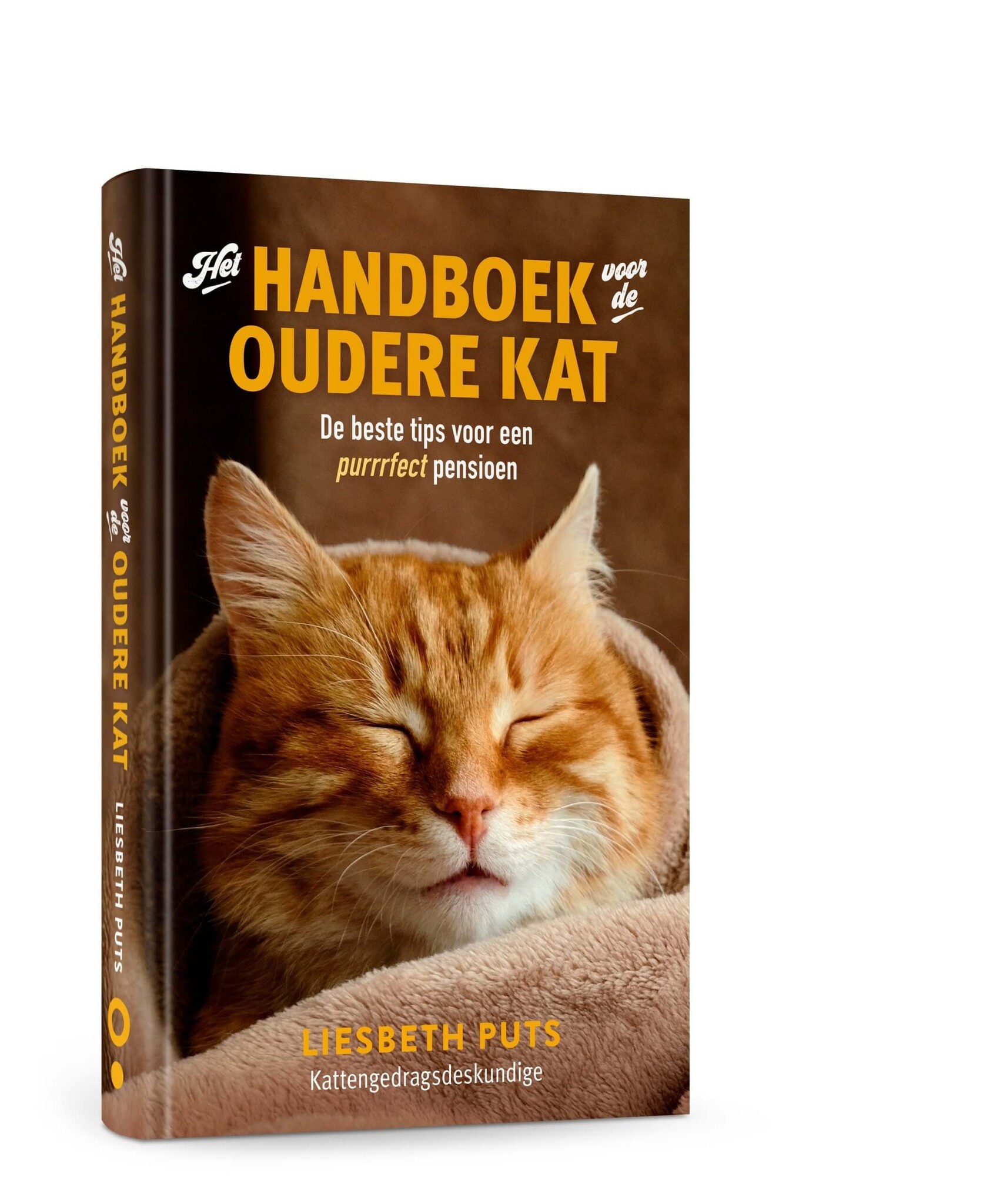 Wat je kat écht denkt - Catcetera