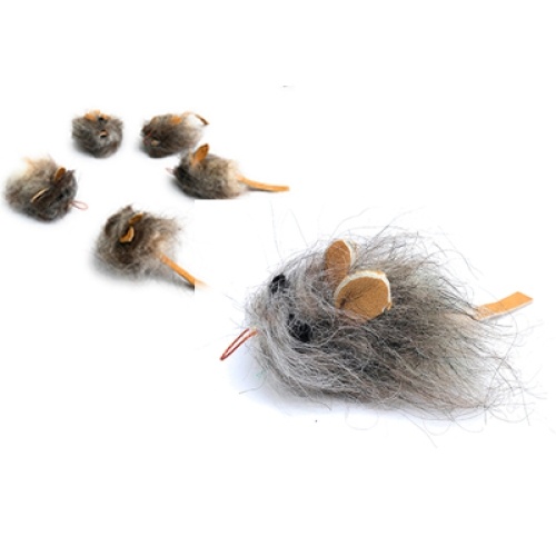 Mini Muis - Catcetera