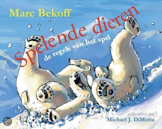 Spelende Dieren - Catcetera
