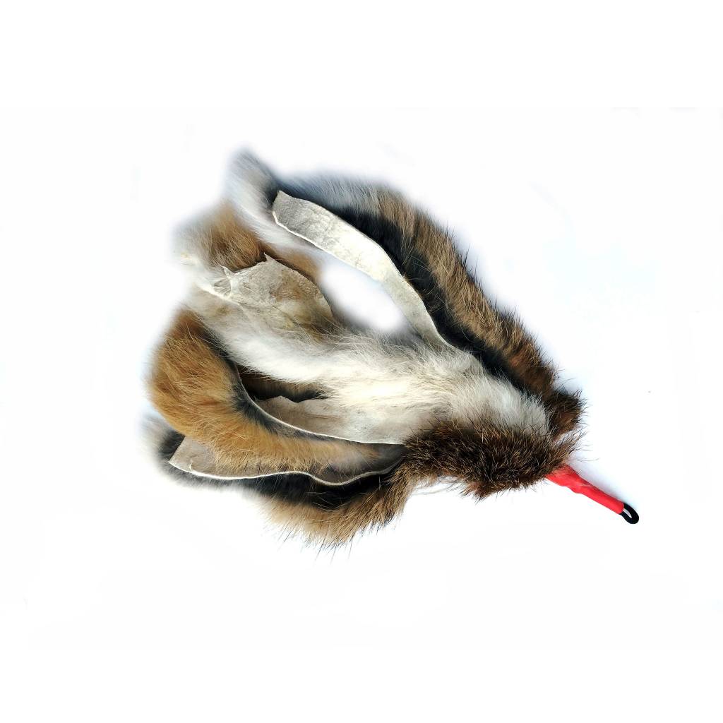 Wild Hare Chaser - Catcetera